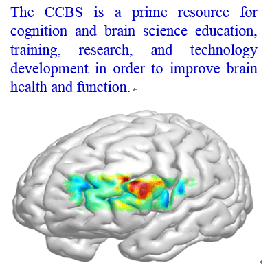 Welcome – University of Macau | Centre for Cognitive and Brain Sciences