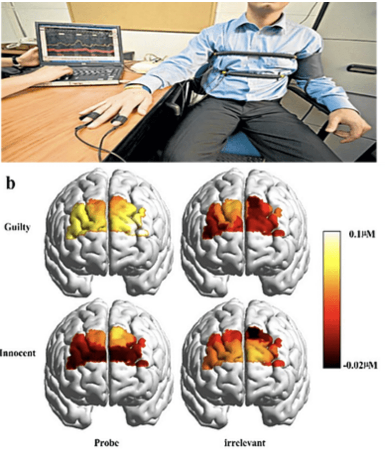 Research Areas – University of Macau | Centre for Cognitive and Brain ...
