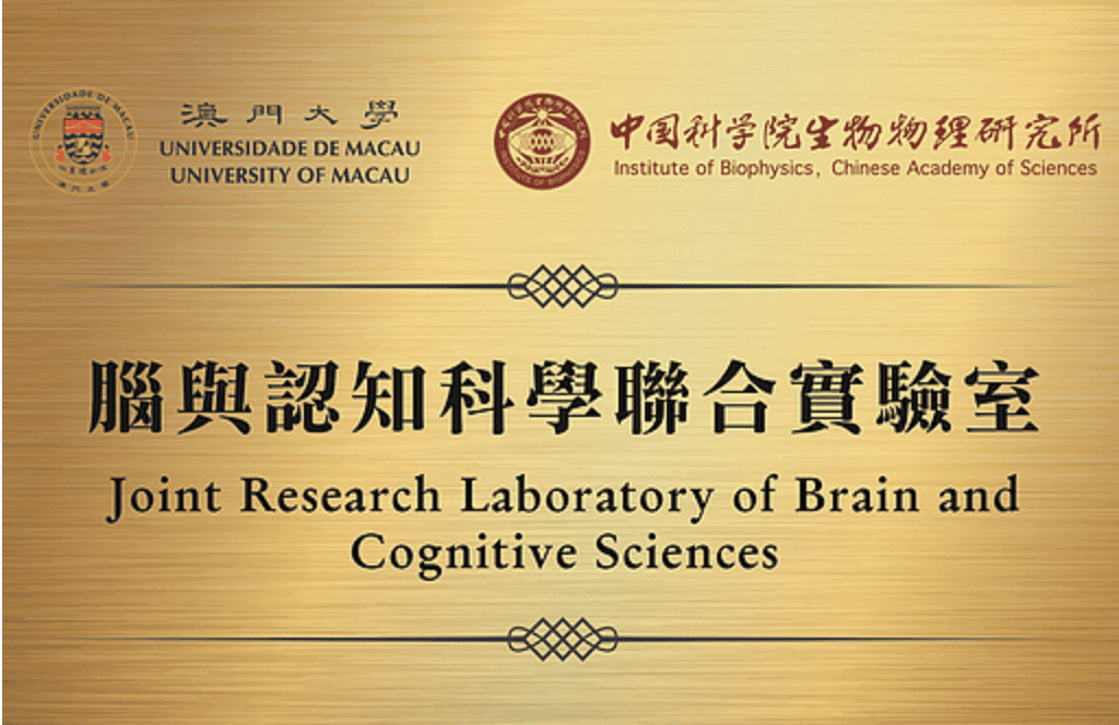 CCBS-IBP Joint Lab – University of Macau | Centre for Cognitive and ...