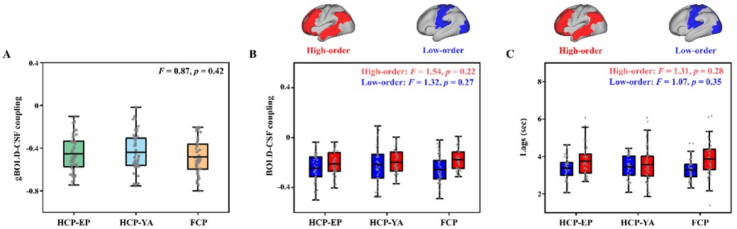 UM’s Breakthrough Discovery: Impaired Brain Waste Clearance Linked to Early Psychosis ...